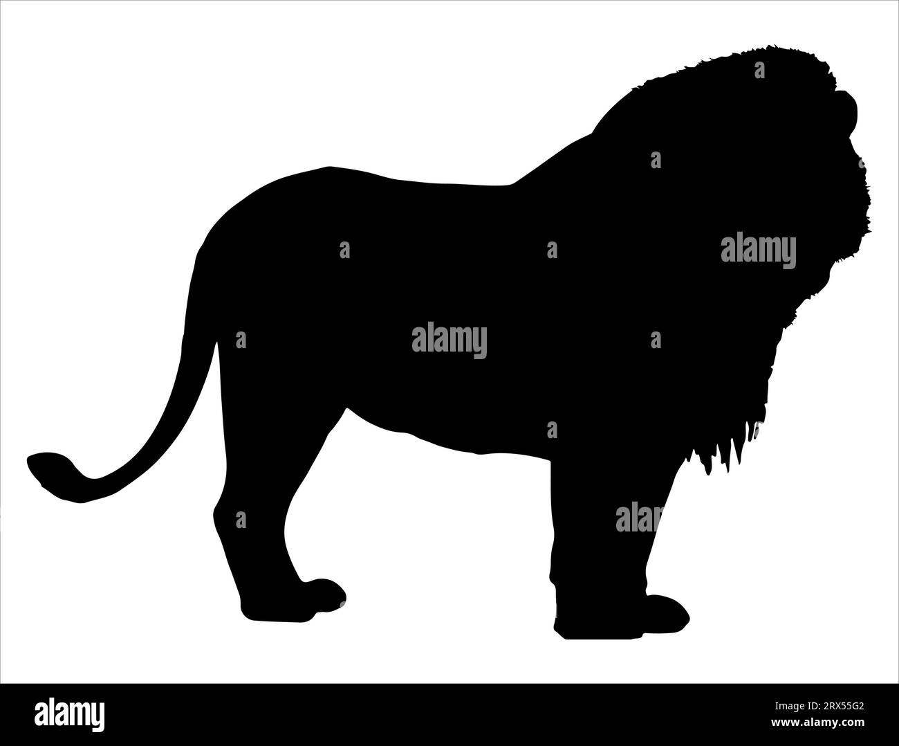 Lion Silhouette Vector Art White Background Stock Vector Image And Art