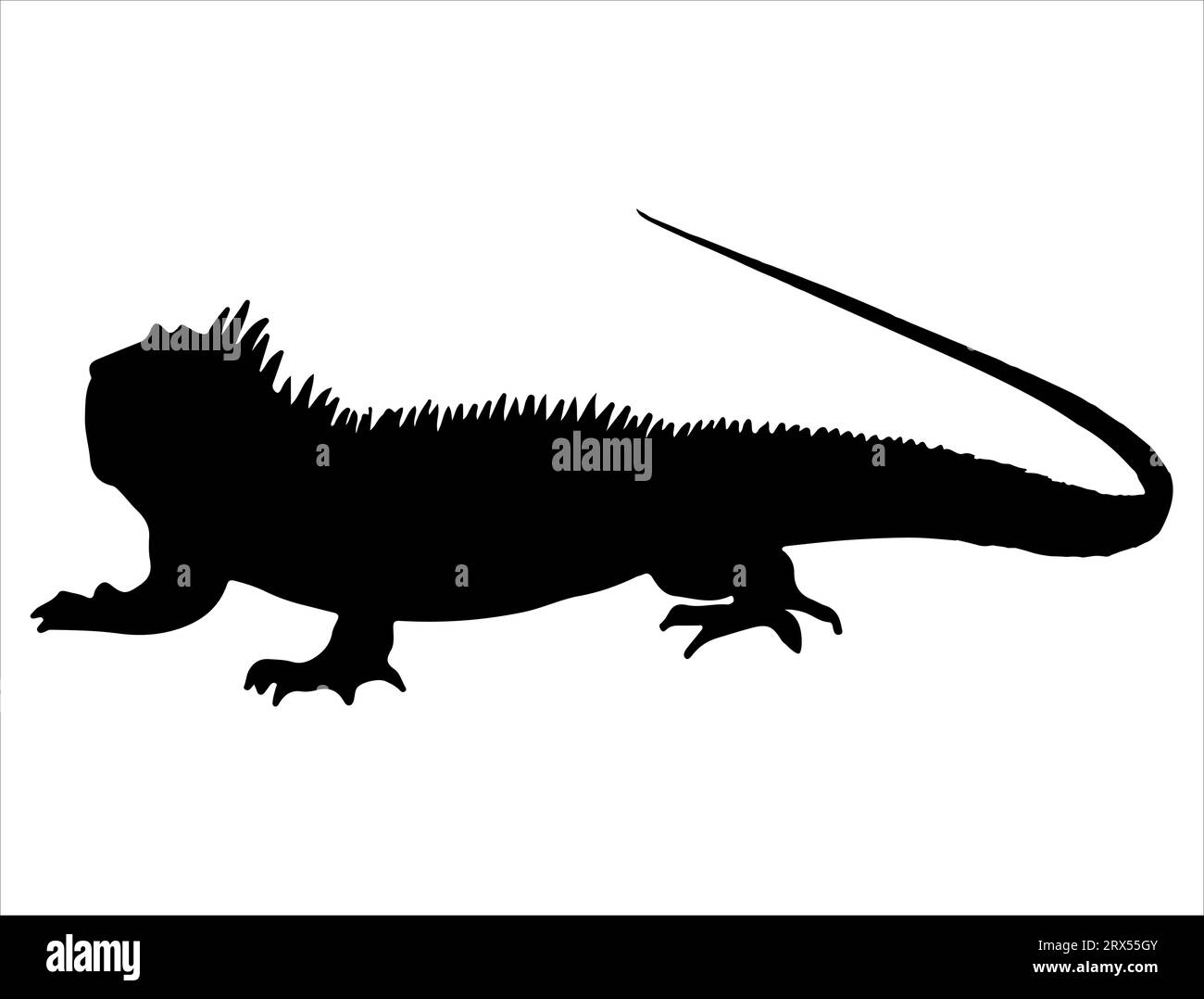 Iguana Silhouette Vector Art White Background Stock Vector Image And Art