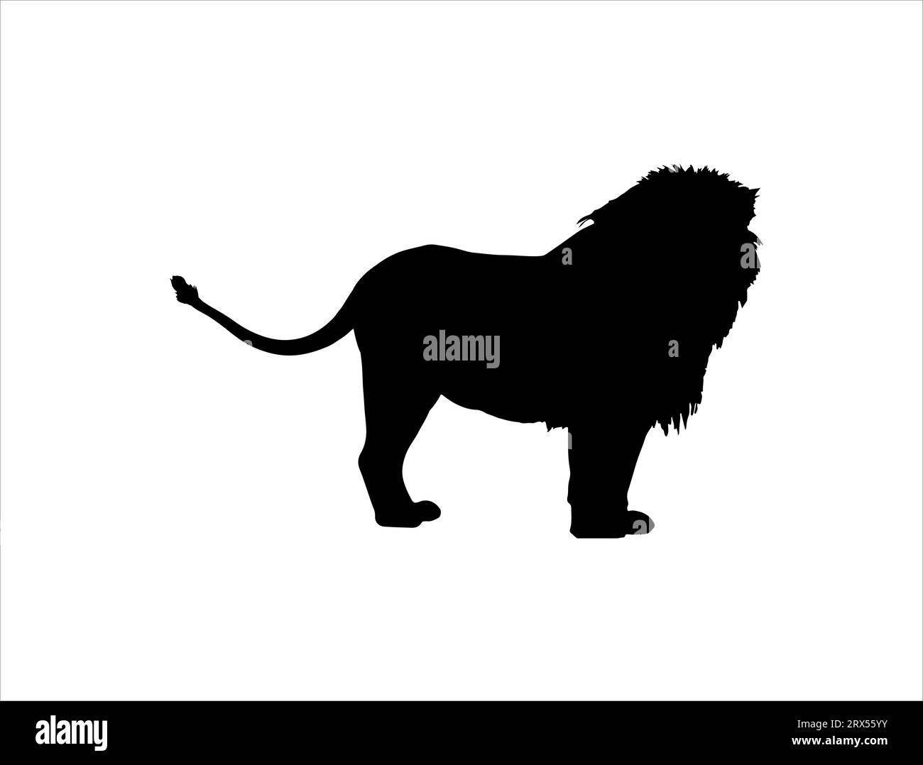 Lion Silhouette Vector Art White Background Stock Vector Image And Art