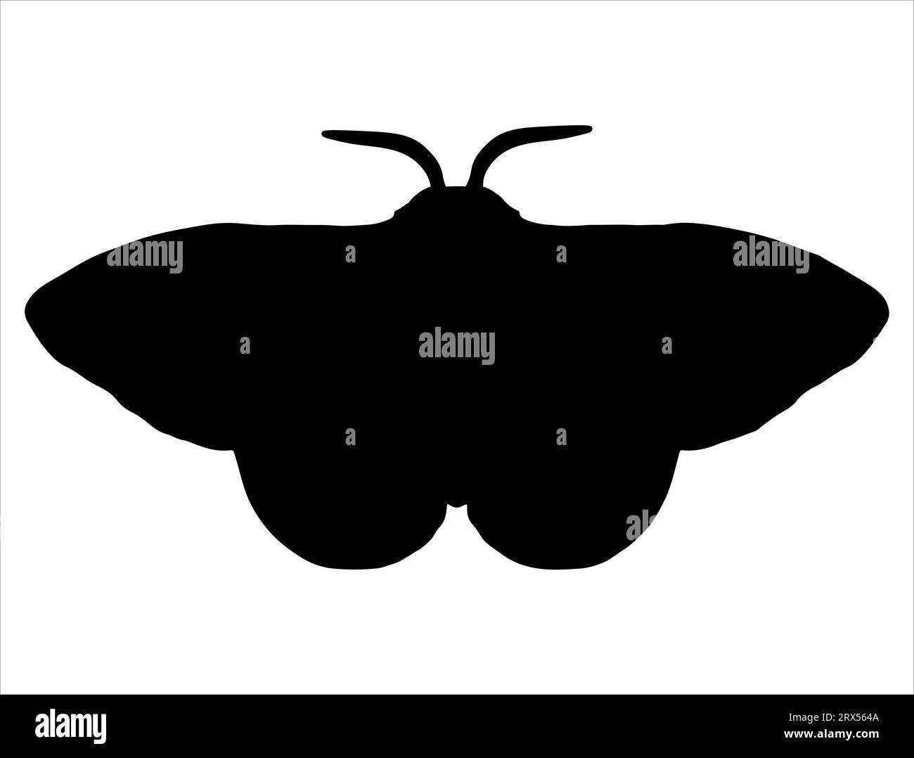 Closeup of moth Stock Vector Images - Alamy