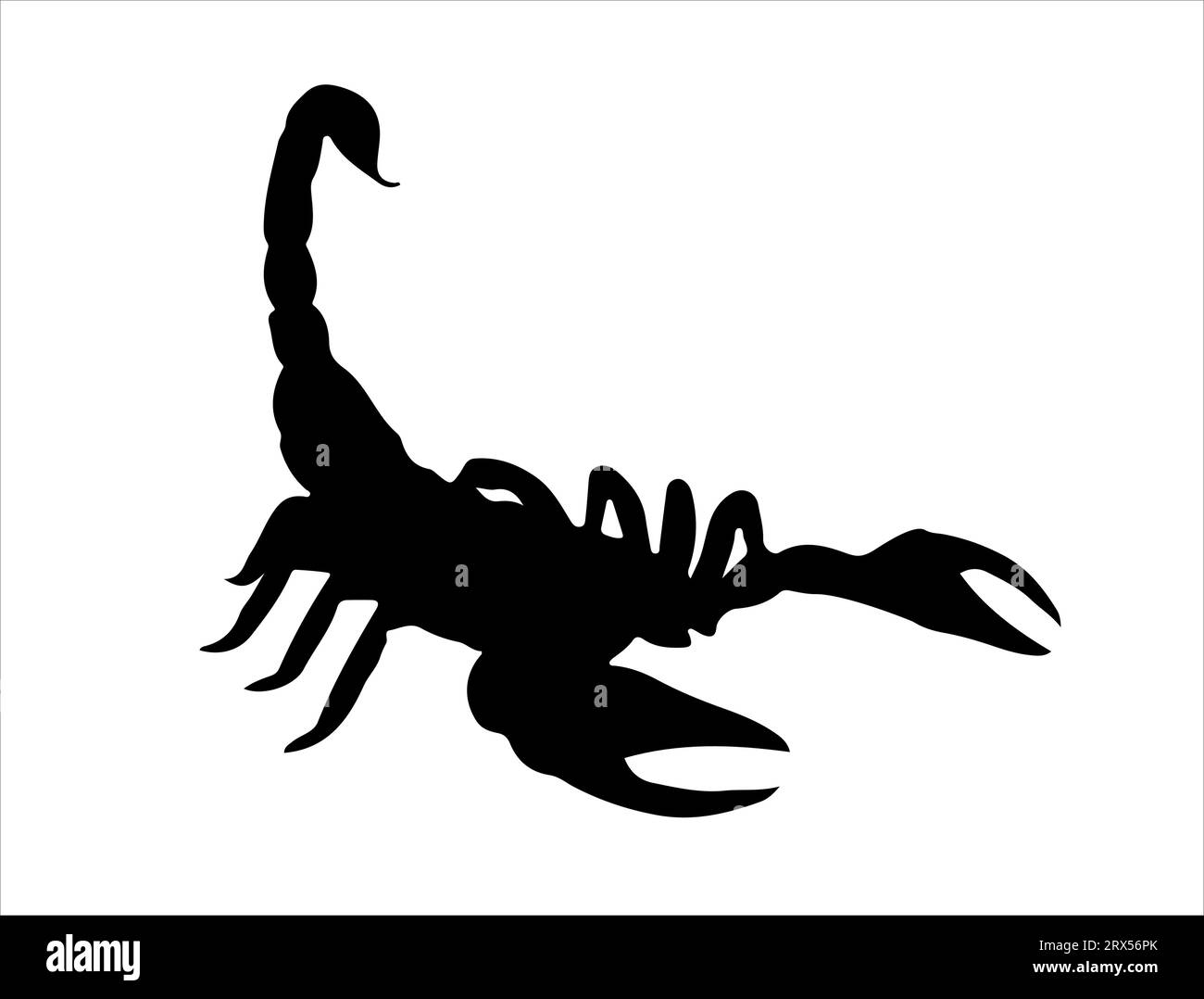 Scorpion silhouette vector art white background Stock Vector Image ...