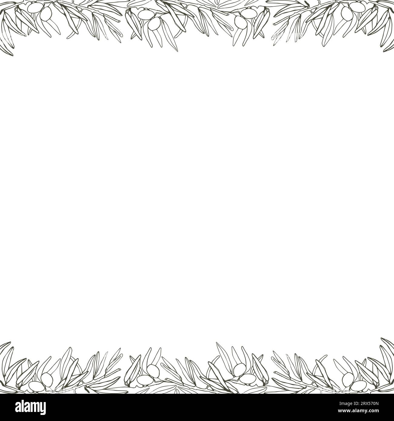 Seamless border of olive branches. Vector composition. Composition for ...