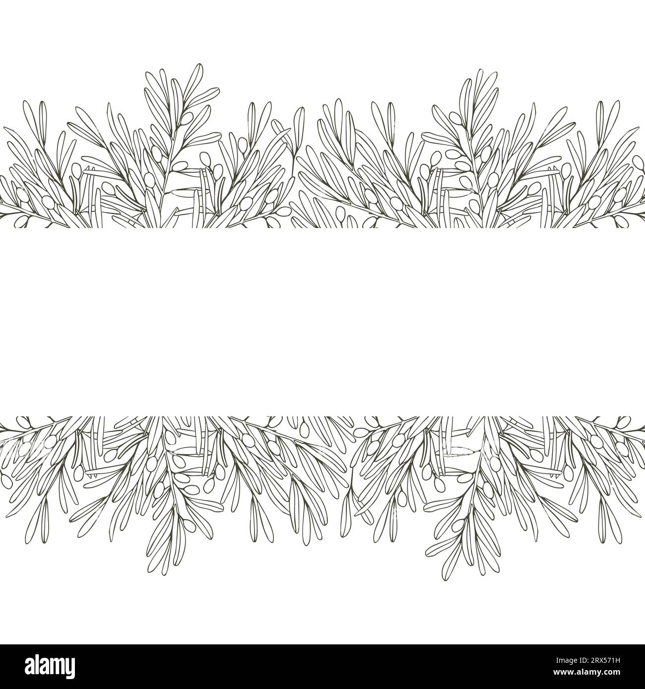 Seamless border of olive branches. Vector composition. Composition for ...