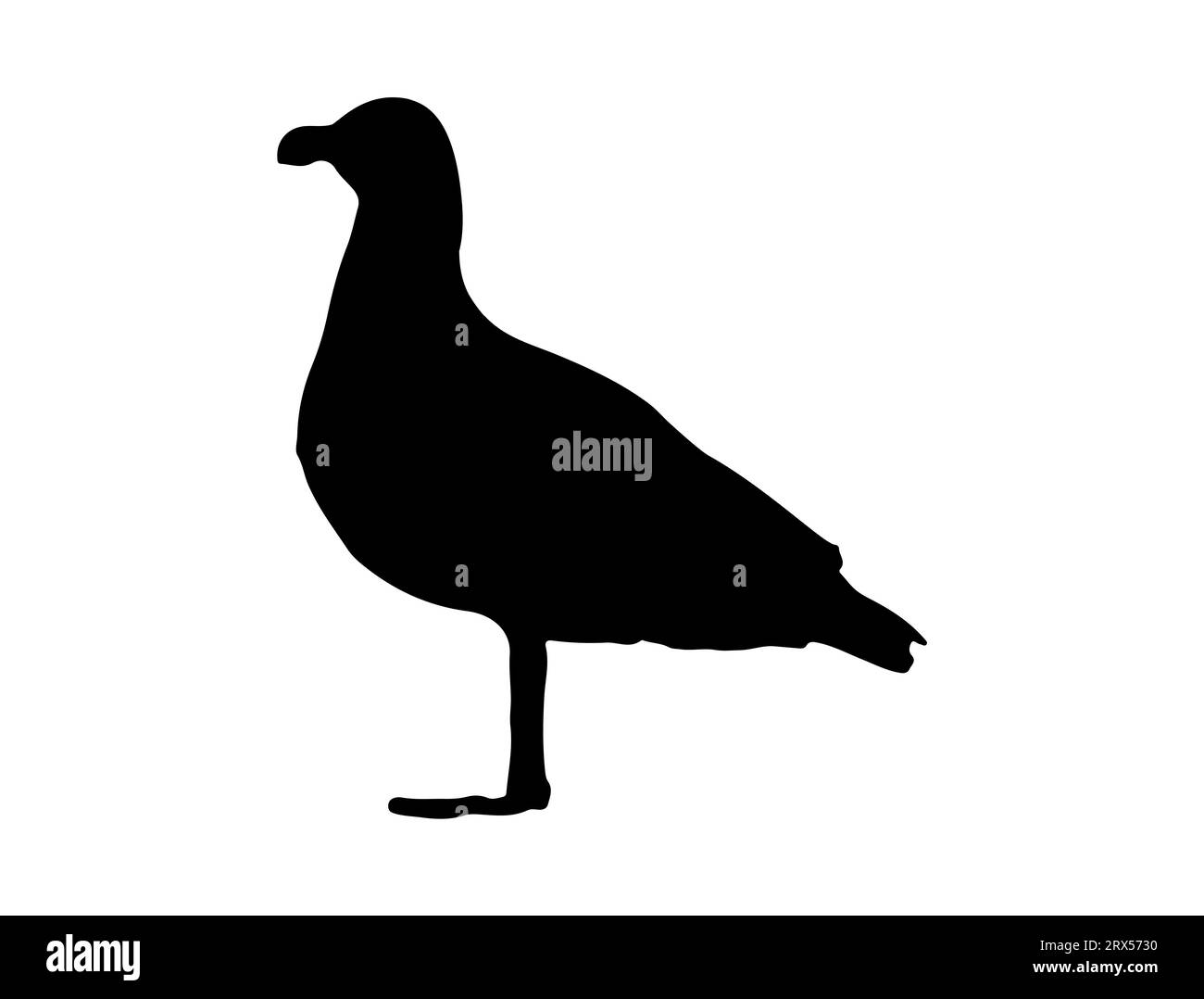 Seagull bird silhouette vector art white background Stock Vector Image ...