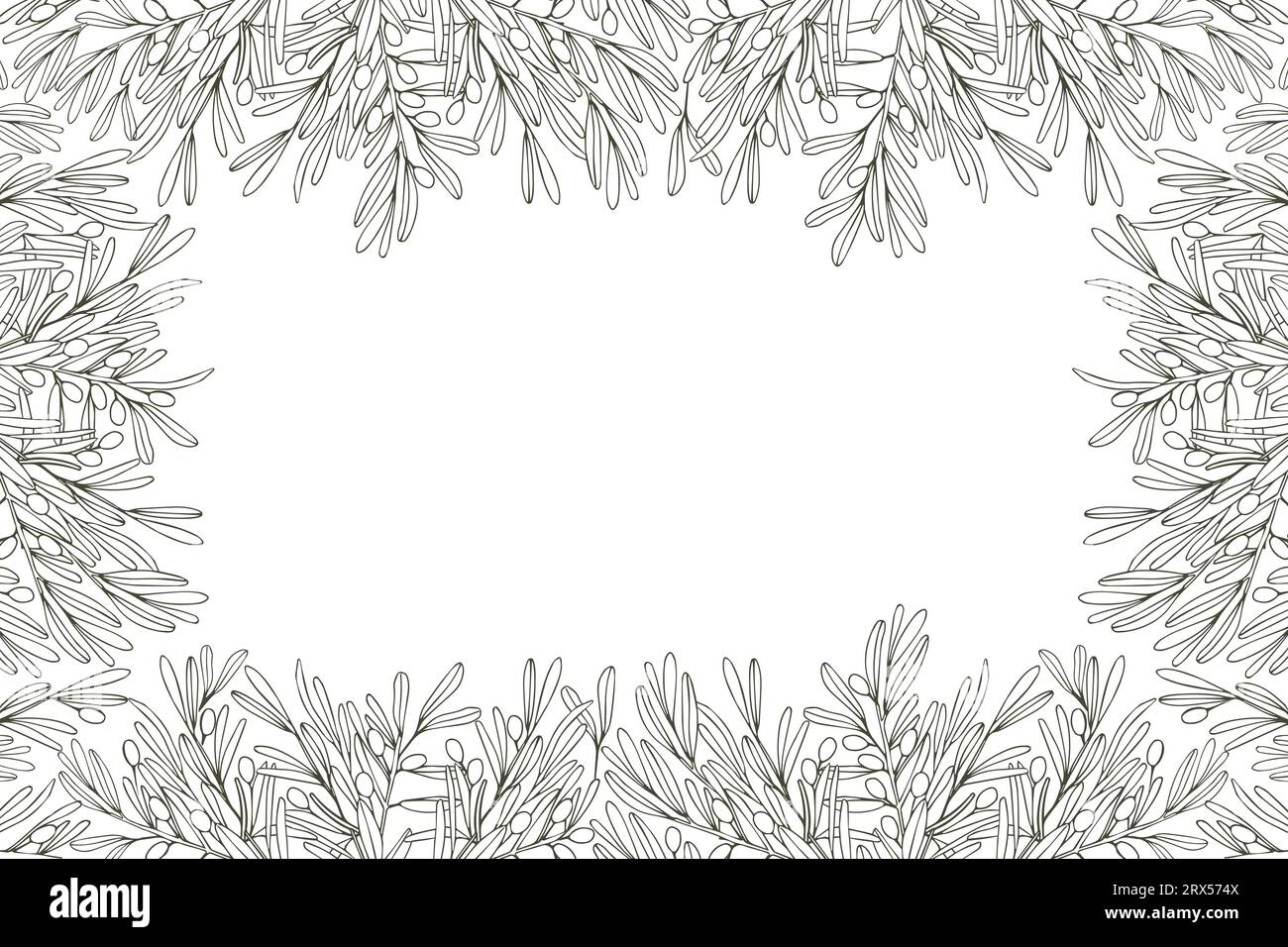 Rectangular frame made of olive branches. Vector composition ...