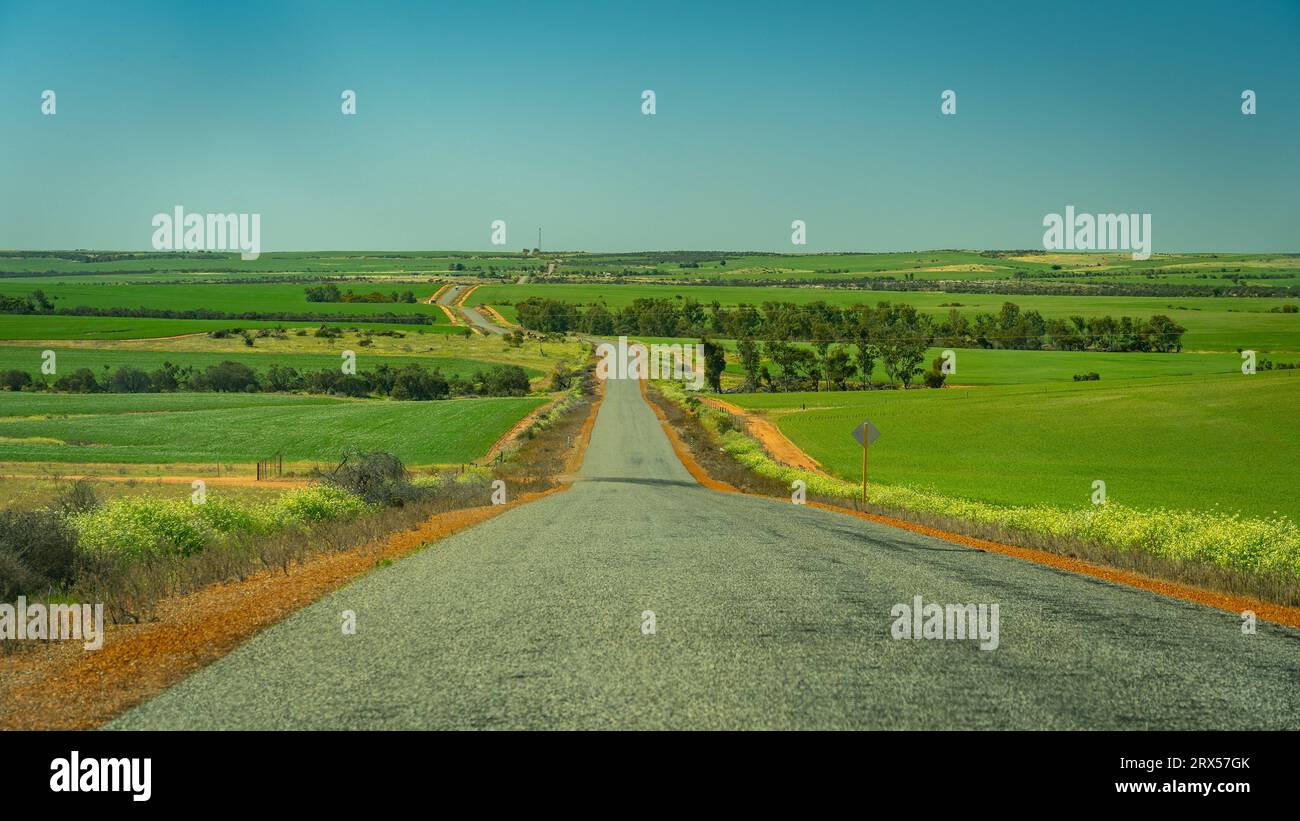 Asphalt road through wheat hi-res stock photography and images - Alamy