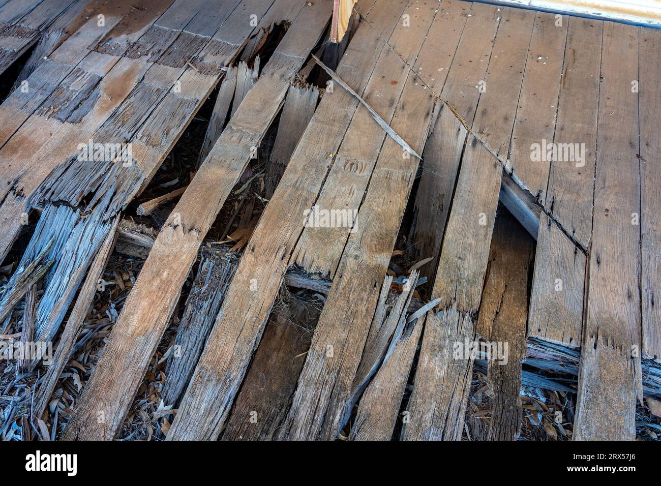 Timber deck hi-res stock photography and images - Alamy