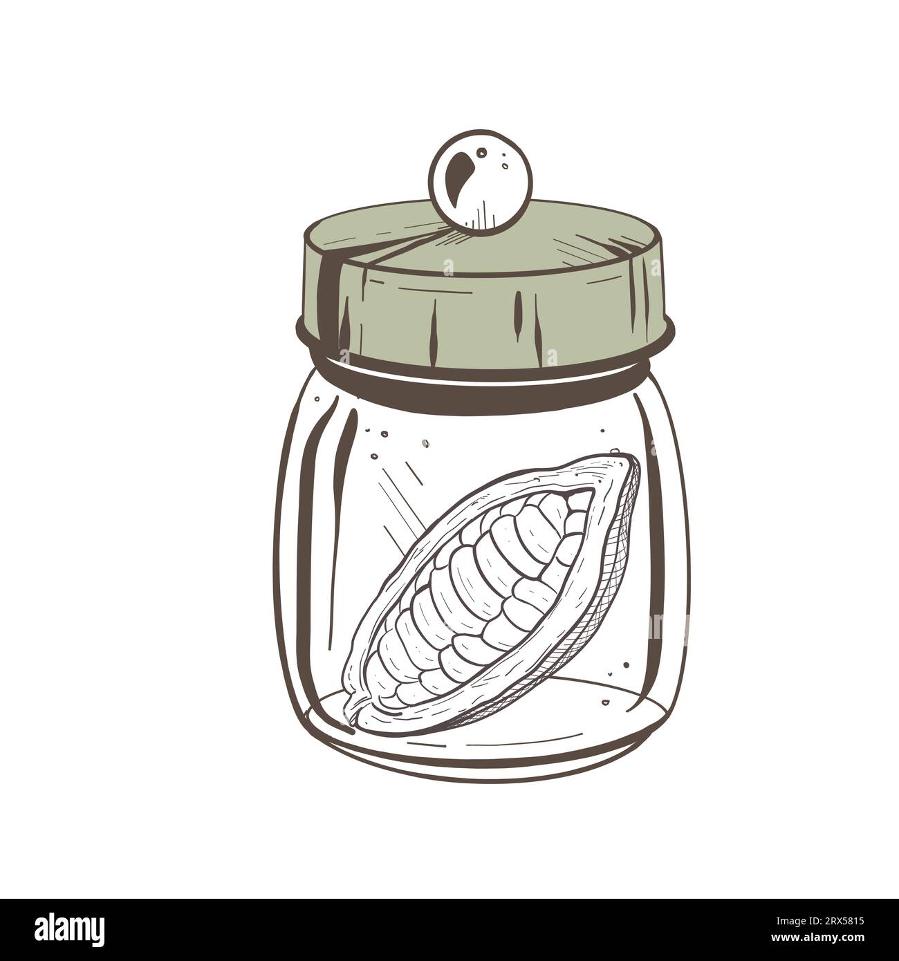 Vector illustration of closed glass container with solid lid and cocoa ...