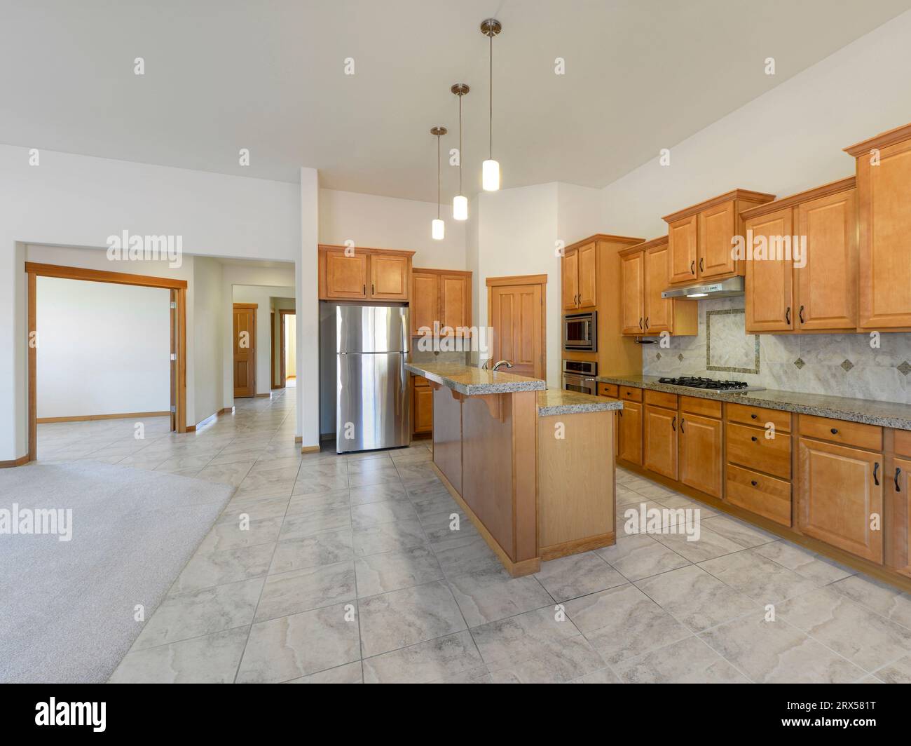 Modern residential kitchen interior Stock Photo - Alamy