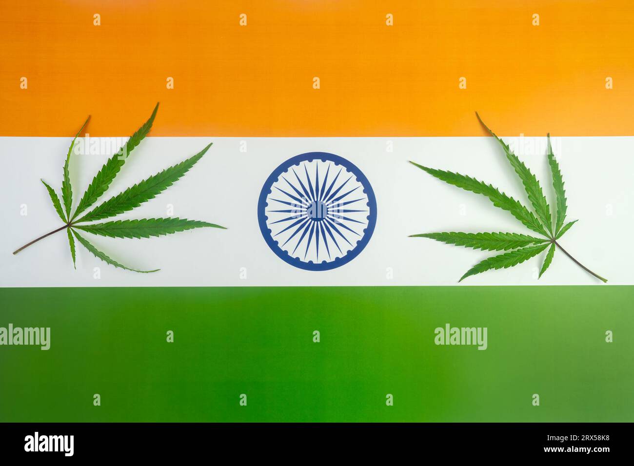 Indian criminal hi-res stock photography and images - Alamy