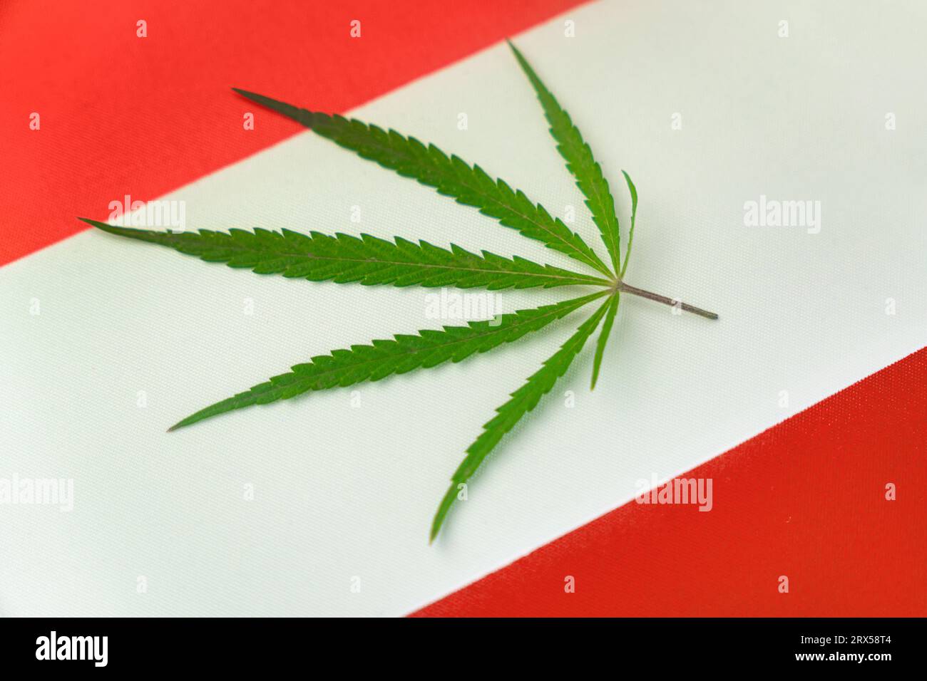 a hemp leaf on background of the austrian flag. Concept of legalization ...