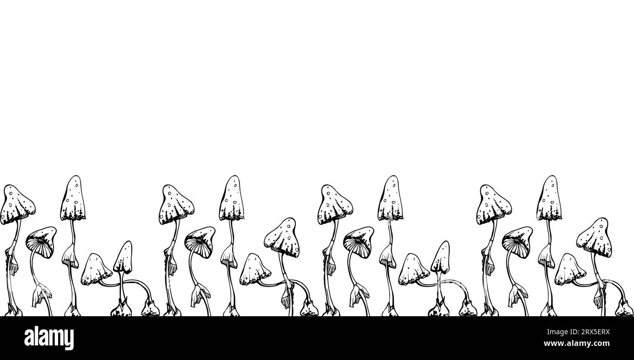 Hand drawn ink vector poisonous mushroom toadstool fungi. Sketch ...