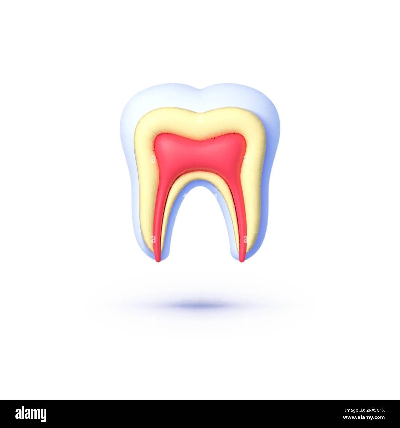 Tooth in section 3d, great design for any purposes. Medical protection ...