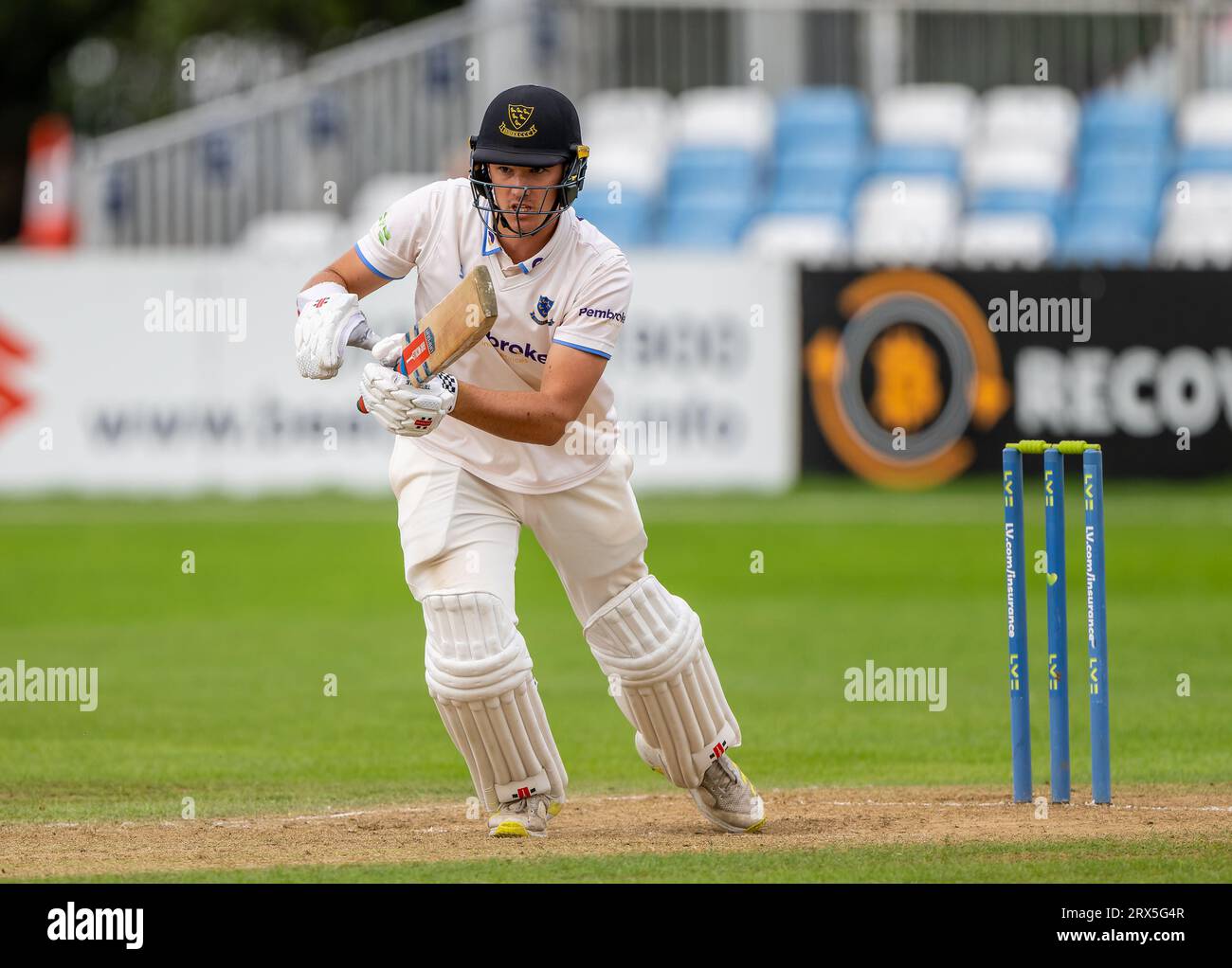Tom Clark batting for Sussex in a County Championship match against ...