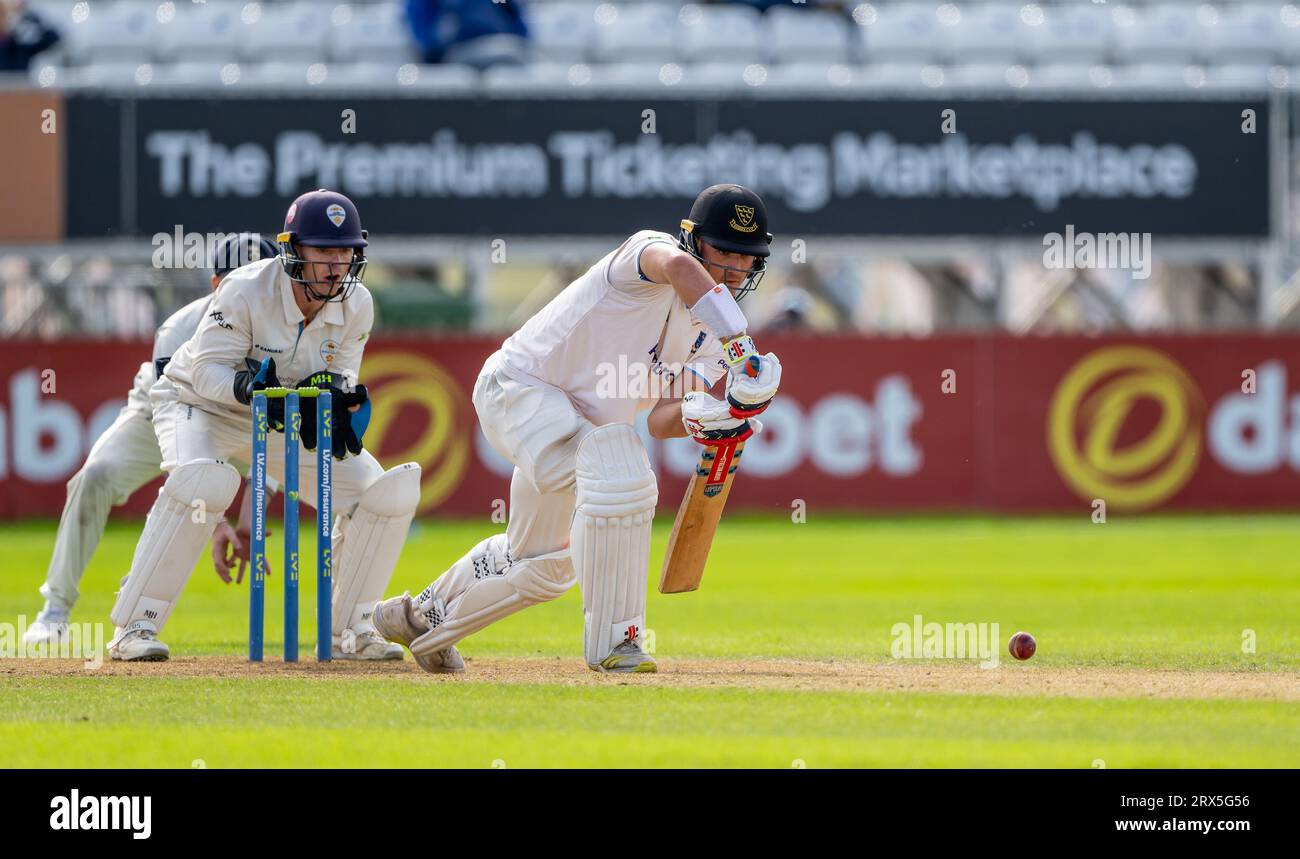 Tom clark sussex hi-res stock photography and images - Alamy