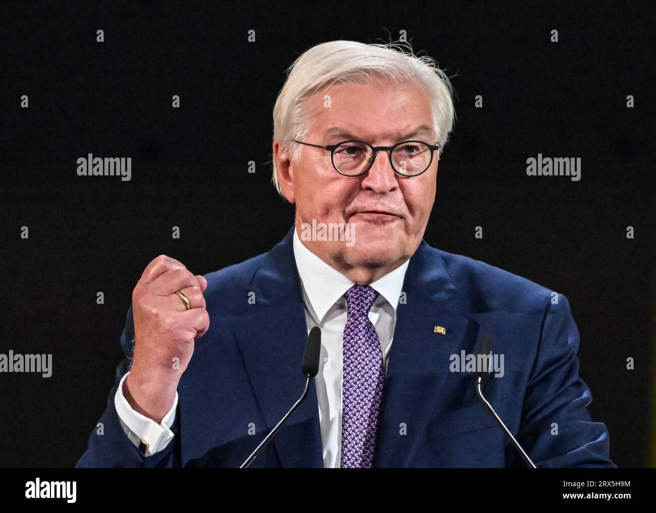 Frank-Walter Steinmeier, German President, speaks on podium, Düsseldorf ...