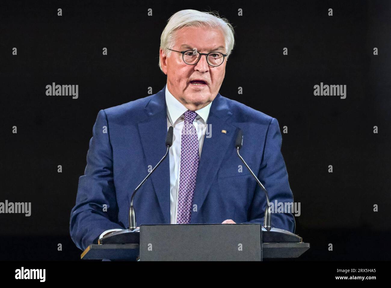 Frank walter steinmeier president of germany hi-res stock photography ...