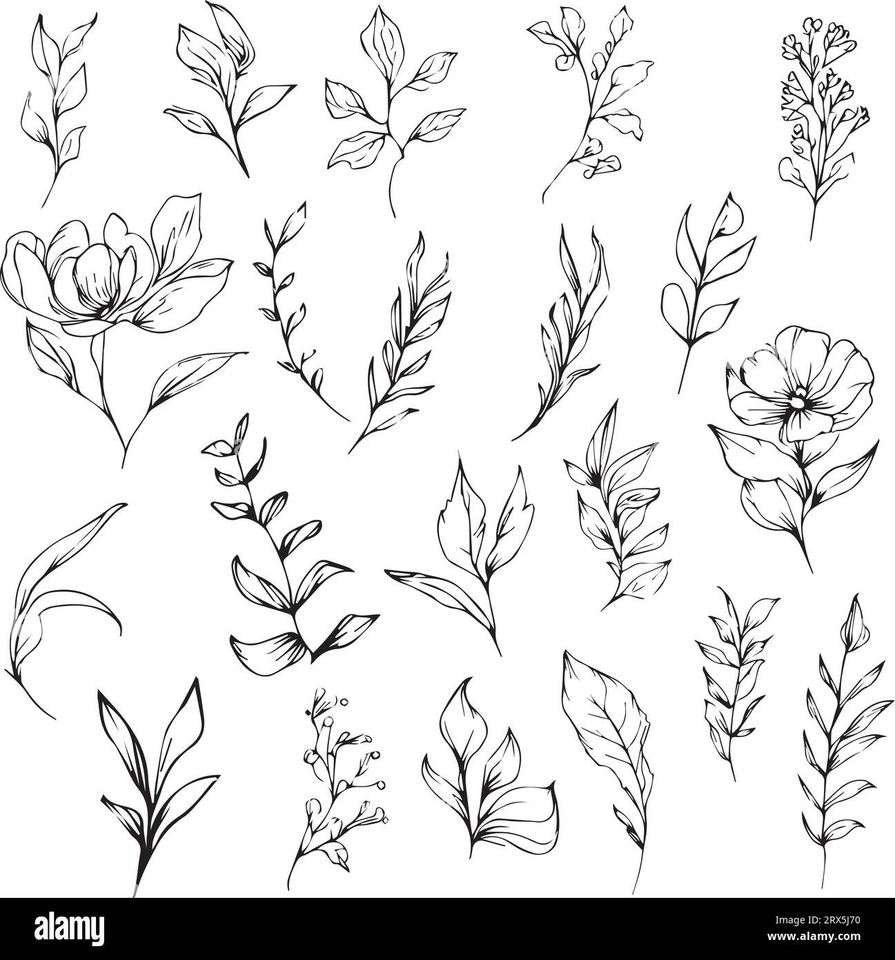 Blackwork tattoo vector vectors hi-res stock photography and images - Alamy