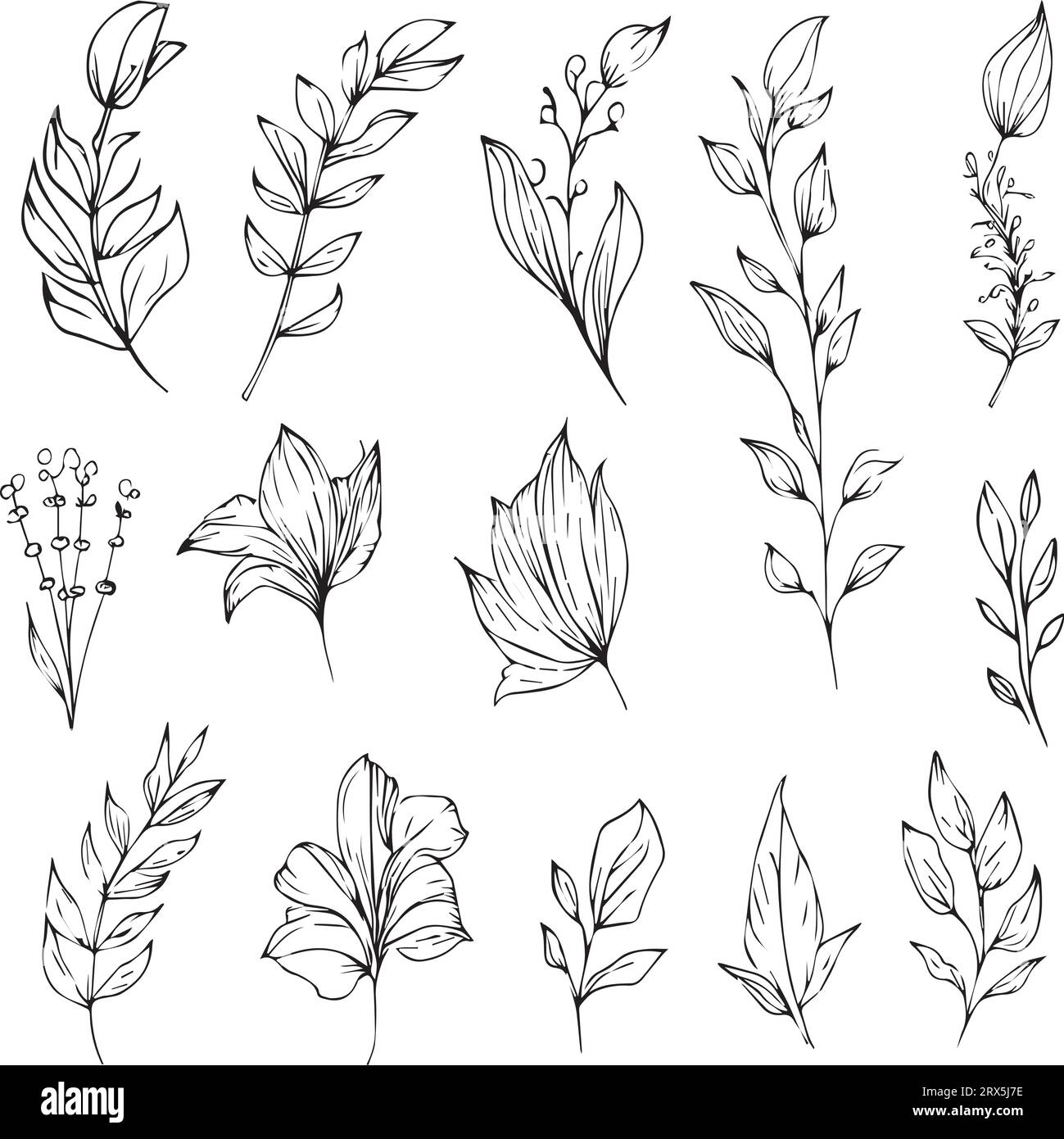 Floral line drawings Stock Vector Images - Alamy Floral line drawings Stock Vector Images - Alamy
