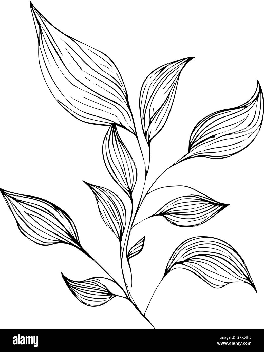 Botanival illustration hi-res stock photography and images - Alamy