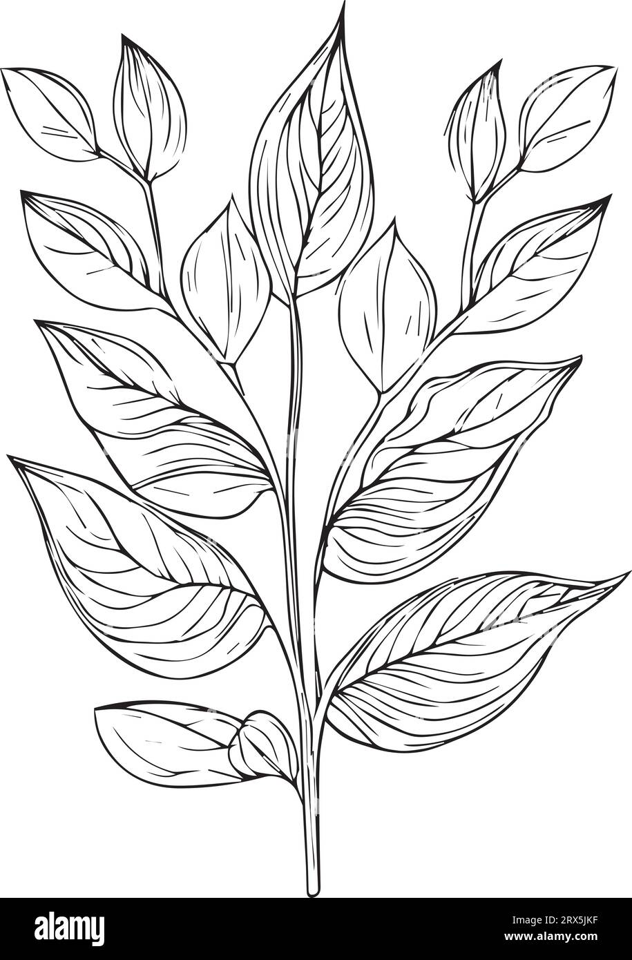 Set for drawing Stock Vector Images - Alamy