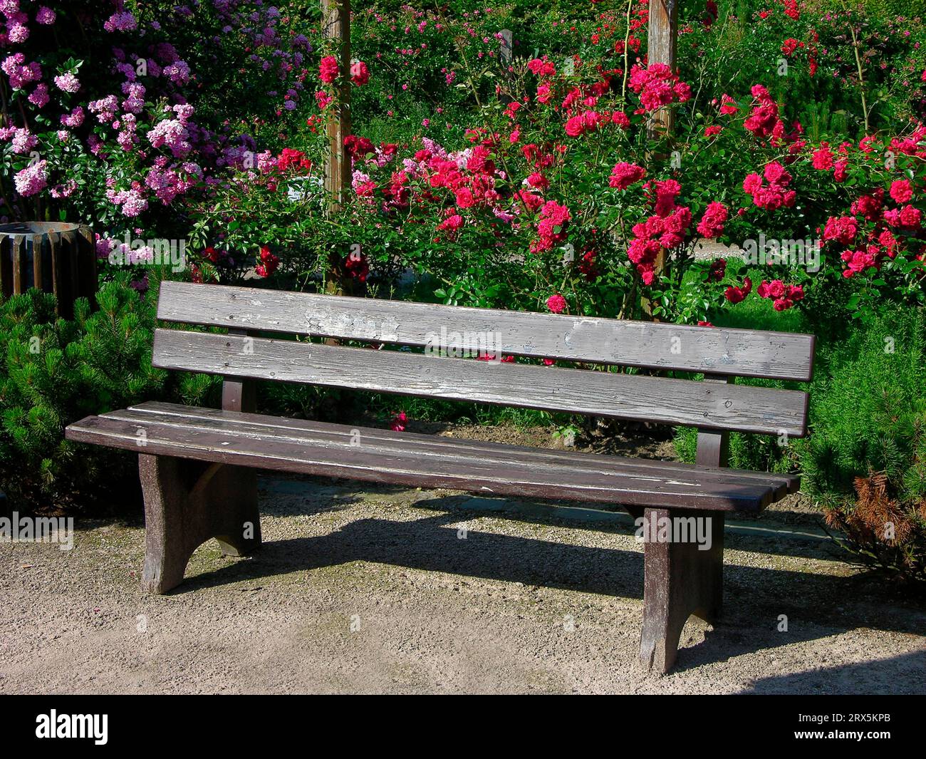 Rose garden seating hi-res stock photography and images - Alamy