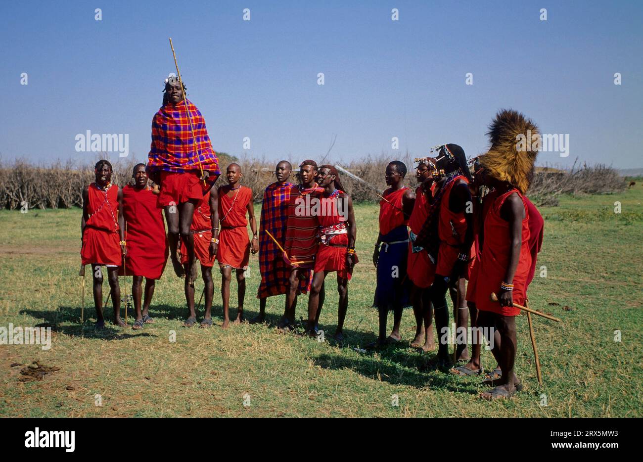 Maassai, Maasai, Maassai or Masai, Maassai with the dance, Kenya, East ...