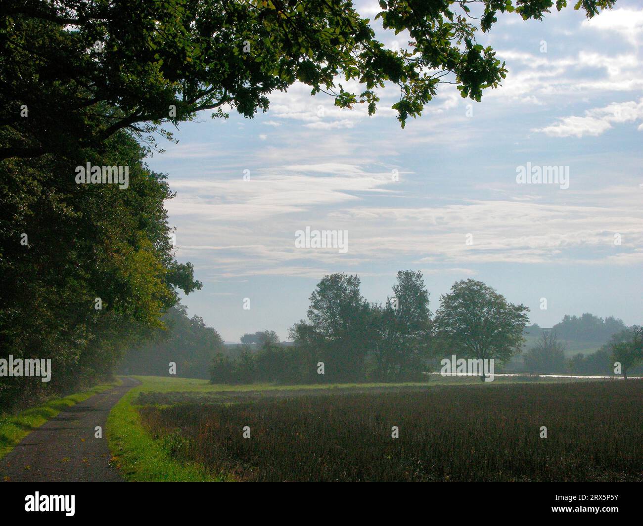 Fog veiled hi-res stock photography and images - Alamy