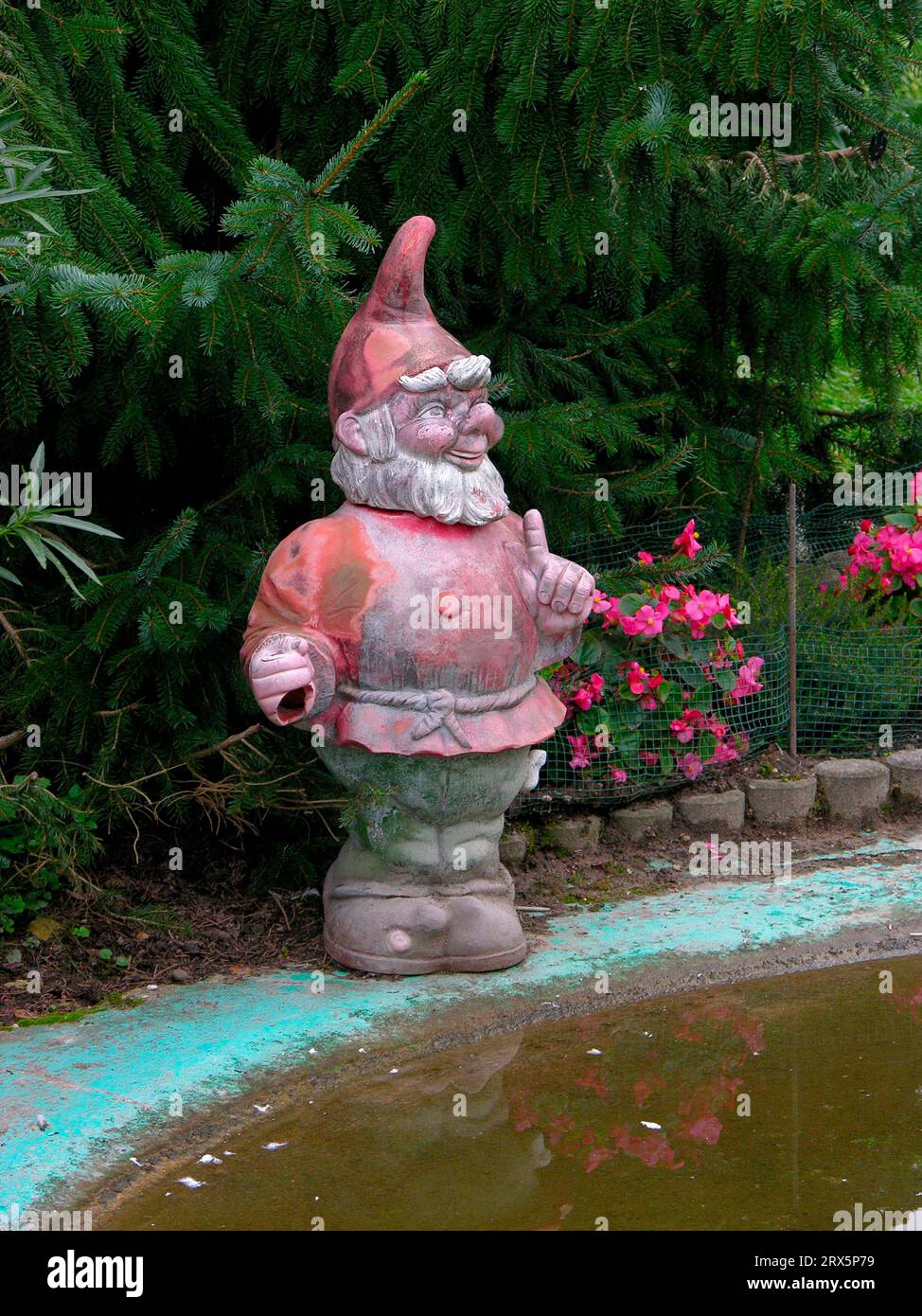Garden gnome at the edge of the pond Stock Photo - Alamy