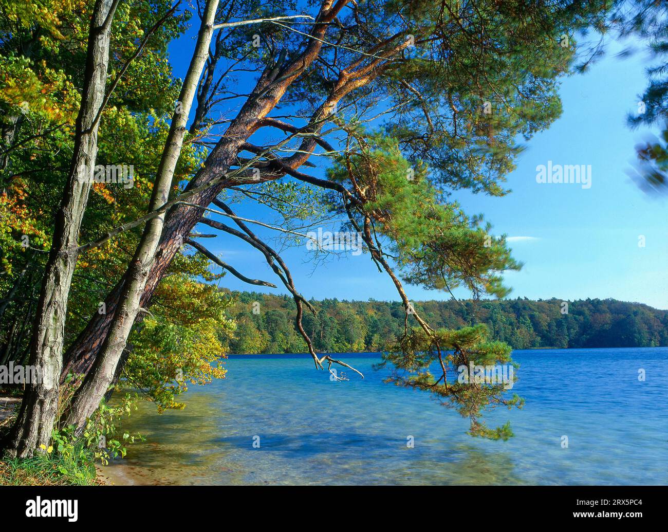 Stechlin see hi-res stock photography and images - Alamy
