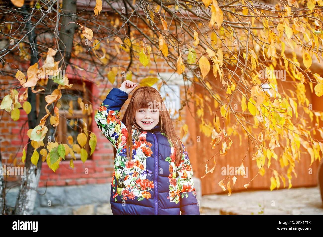 Read head preschooler girl enjoying nice and sunny autumn day outdoors ...