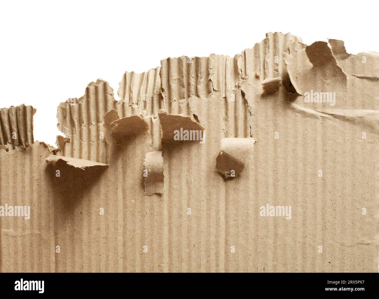 Torn brown corrugated cardboard on white background Stock Photo - Alamy