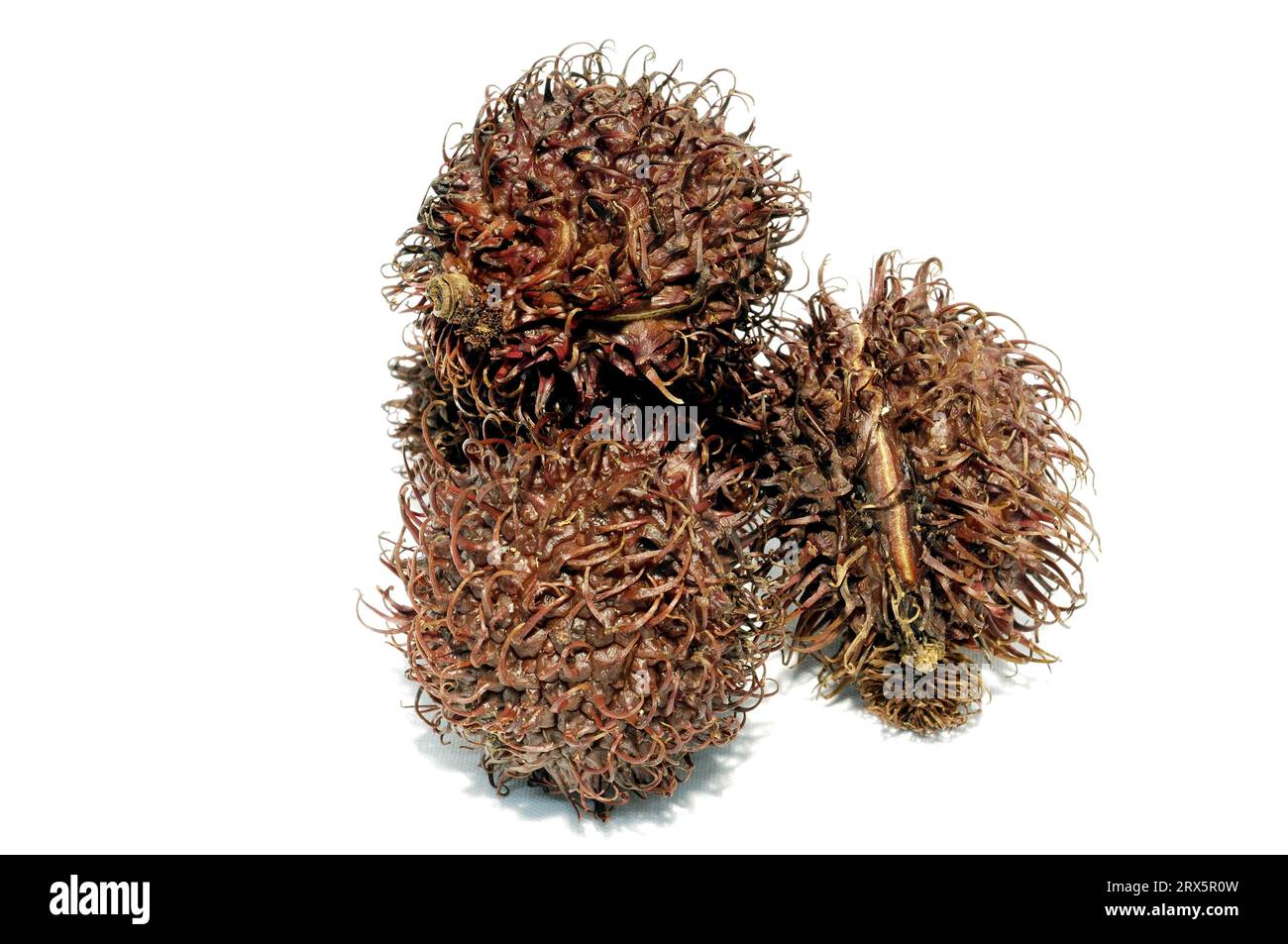 Similarity Cut Out Stock Images & Pictures - Alamy