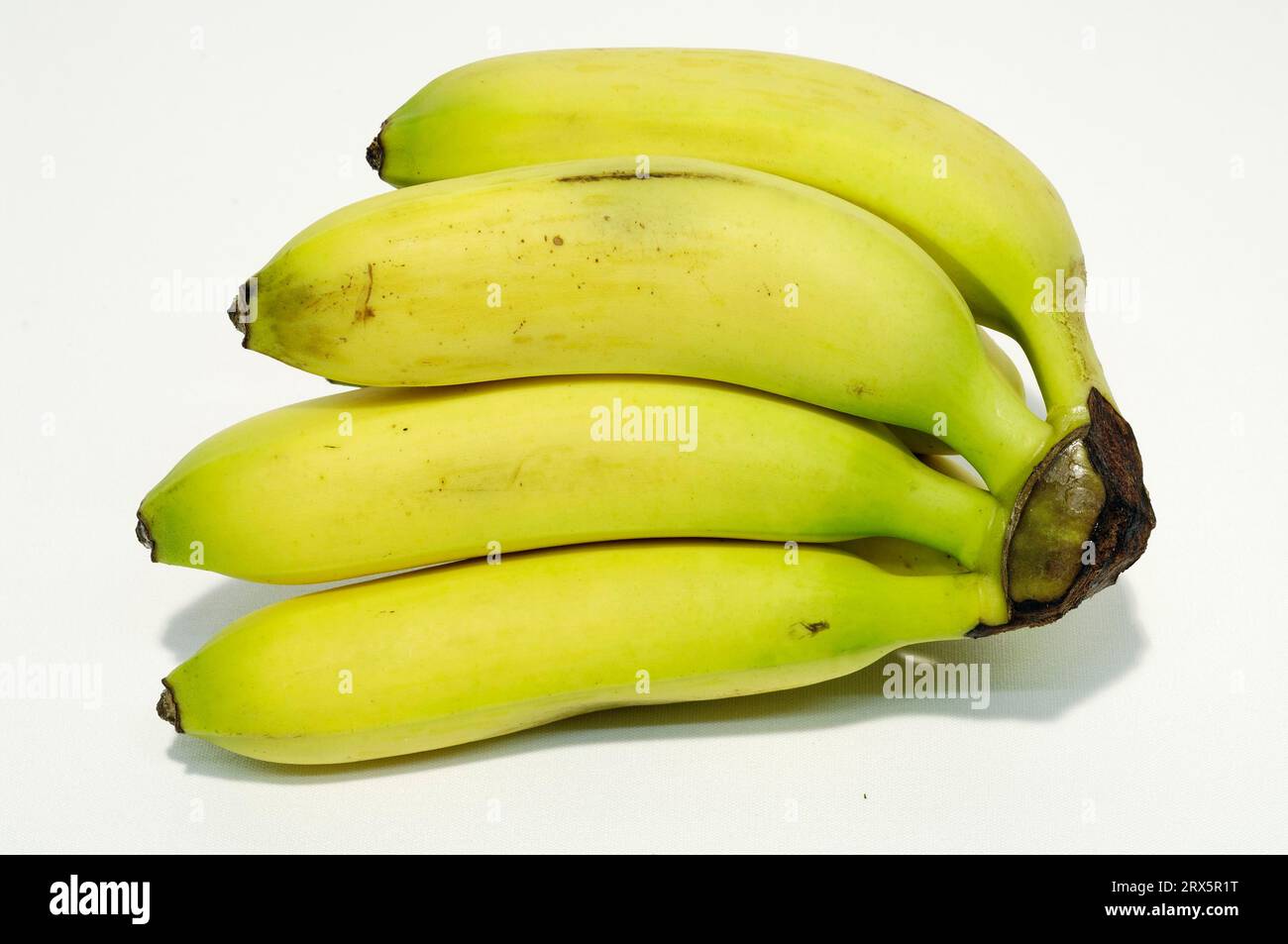 Baby bananas, small bananas Stock Photo - Alamy