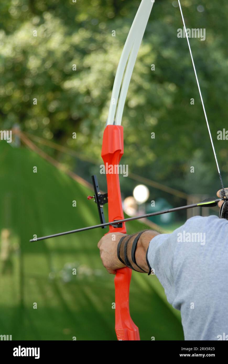 Sinew hi-res stock photography and images - Alamy