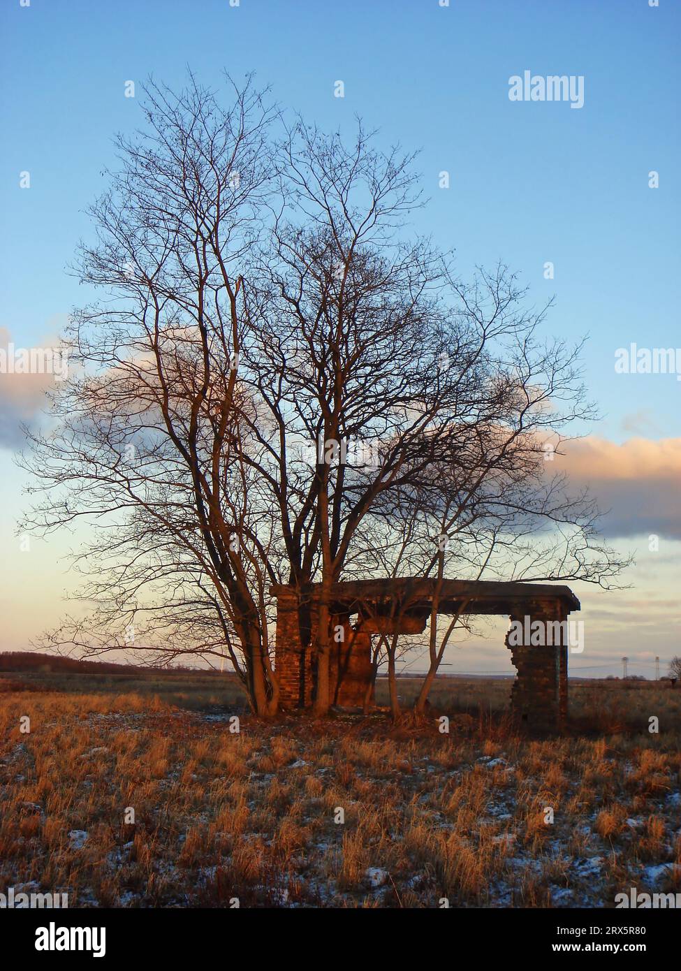 Ruin of a barn shed Stock Photo - Alamy