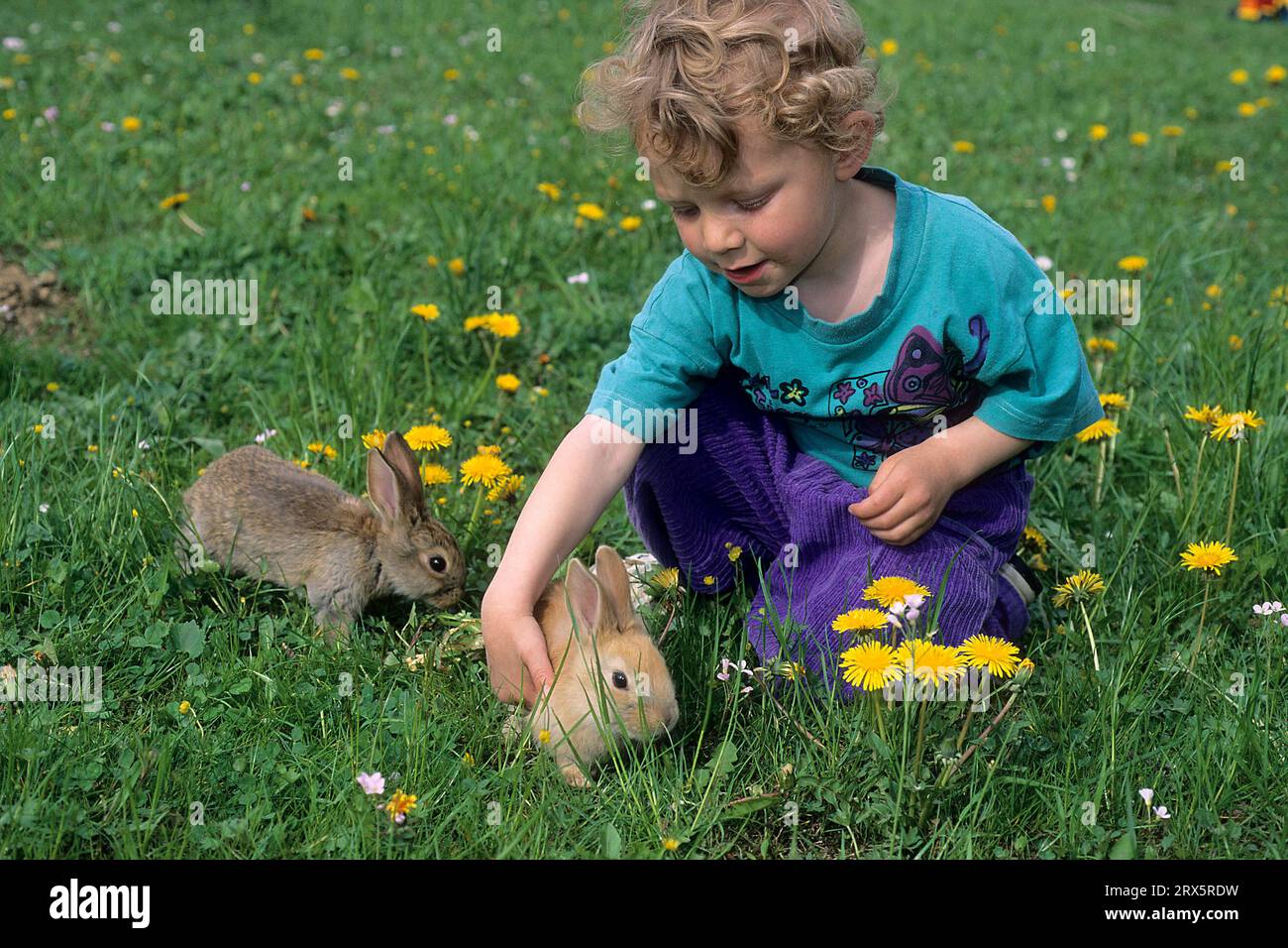 One kinder hi-res stock photography and images - Alamy