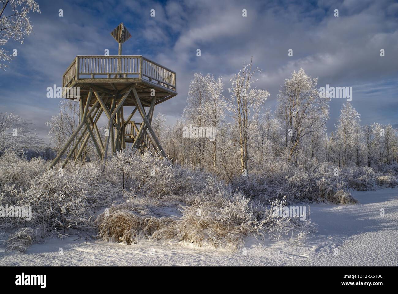 Amazing view of a frozen wooden look-out at the edge of a forest Stock ...