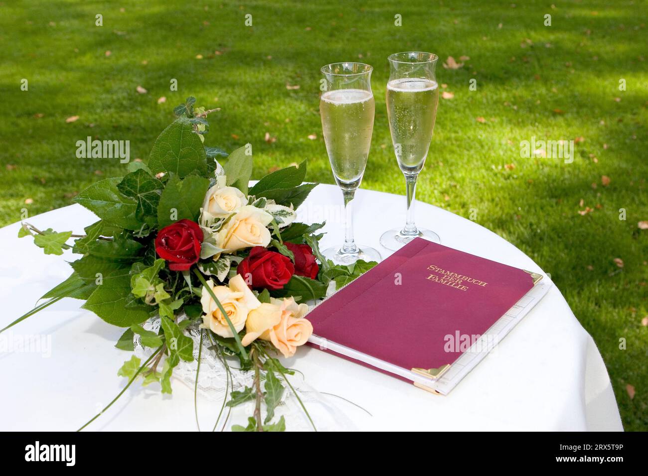 Wedding, Family book, Family book, Champagne, Champagne glasses Stock ...
