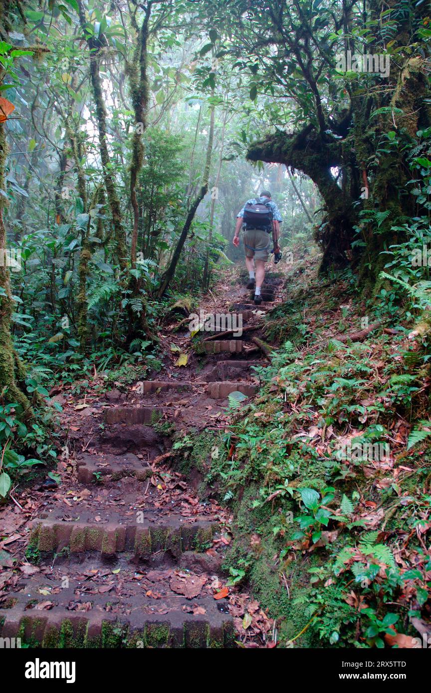 Tropical Rainforest, Monteverde Cloud Forest Biological Reserve ...