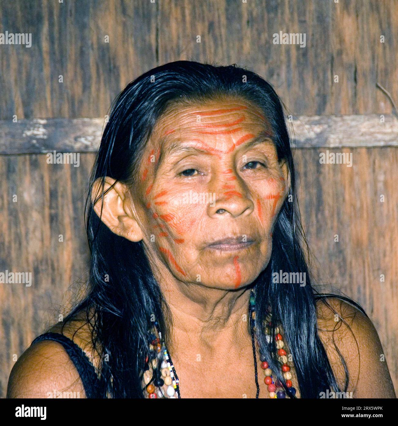 Old Indian woman of the Dessano tribe with face painting, Dessano, Rio ...