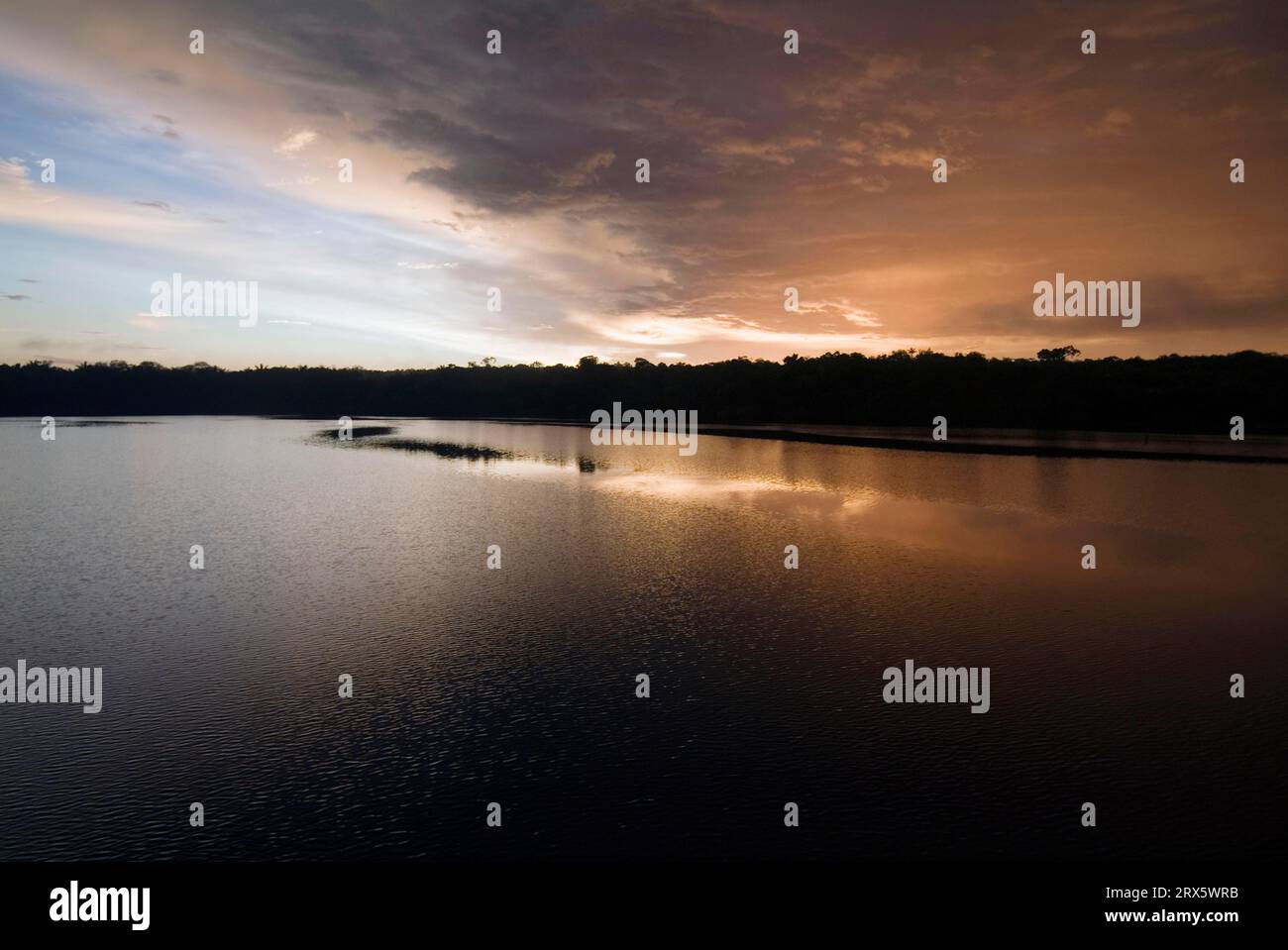 Rio Taruma, Manaus, Amazonas State, Brazil Stock Photo - Alamy