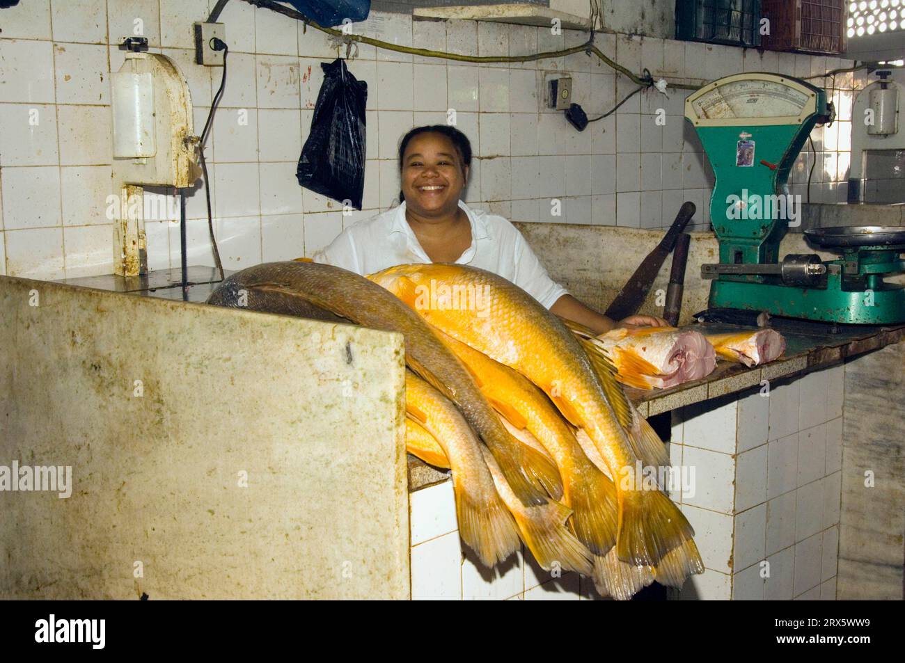 Market stall with fish, central market 'Mercado Central', Sao Luis ...