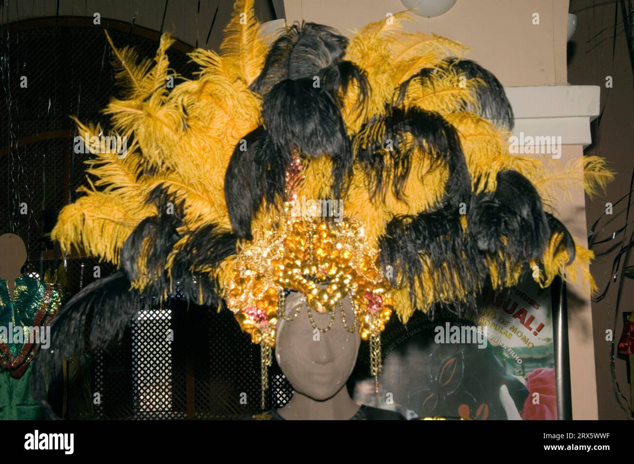 Exhibition 'Fantasias do Samba', Carnival Costume, Sao Luis, Maranhao ...