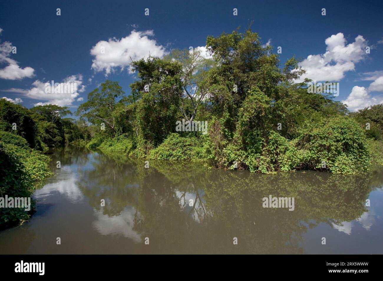 River, Pantanal, Brazil Stock Photo - Alamy