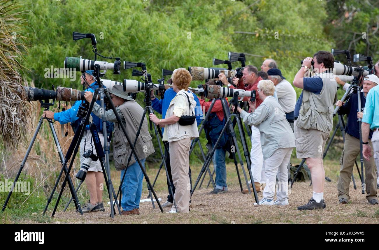 Wildlife photographers, Venice Bird Rookery, Florida, nature ...