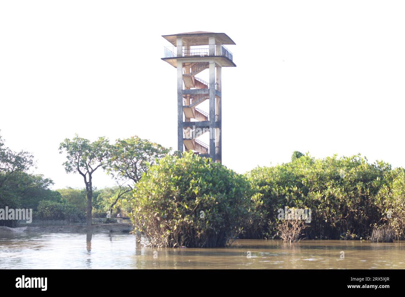 Watch tower in mangrove forests Stock Photo - Alamy