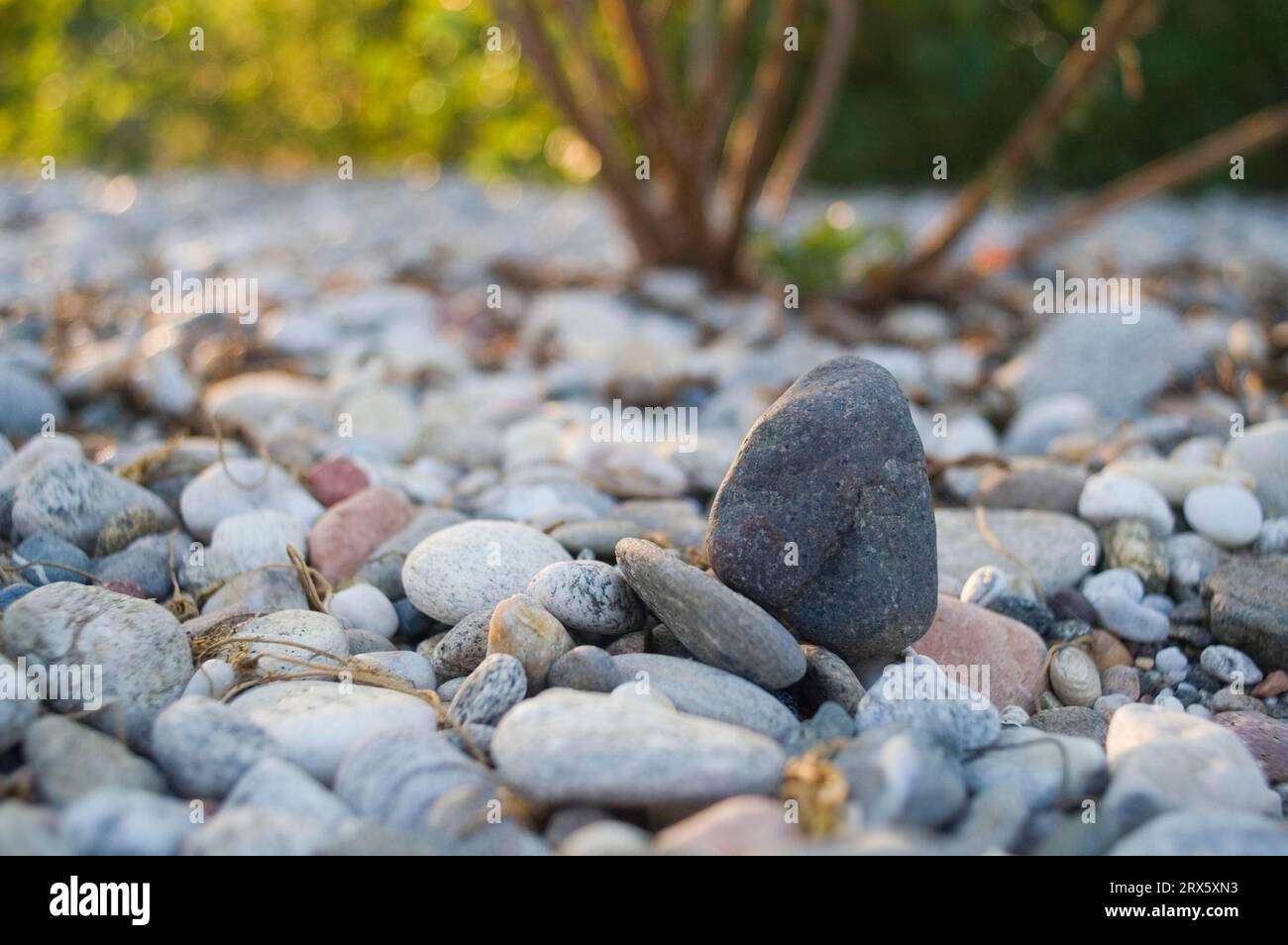 River pebbles in the Ticino riverbed Stock Photo - Alamy