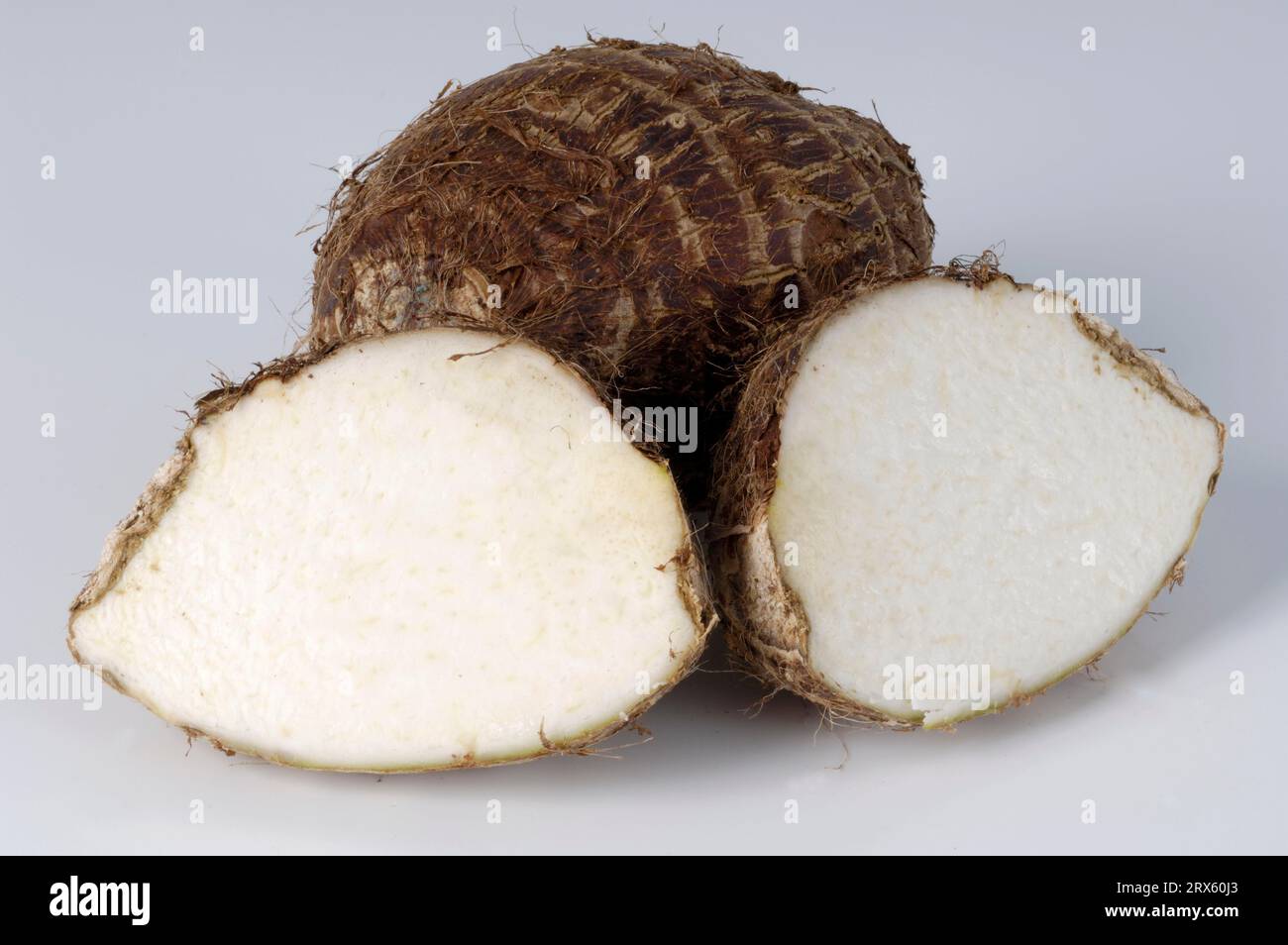 Taro (Colocasia esculenta), Cocoyam, Taioba, Eddro, Dasheen Stock Photo ...
