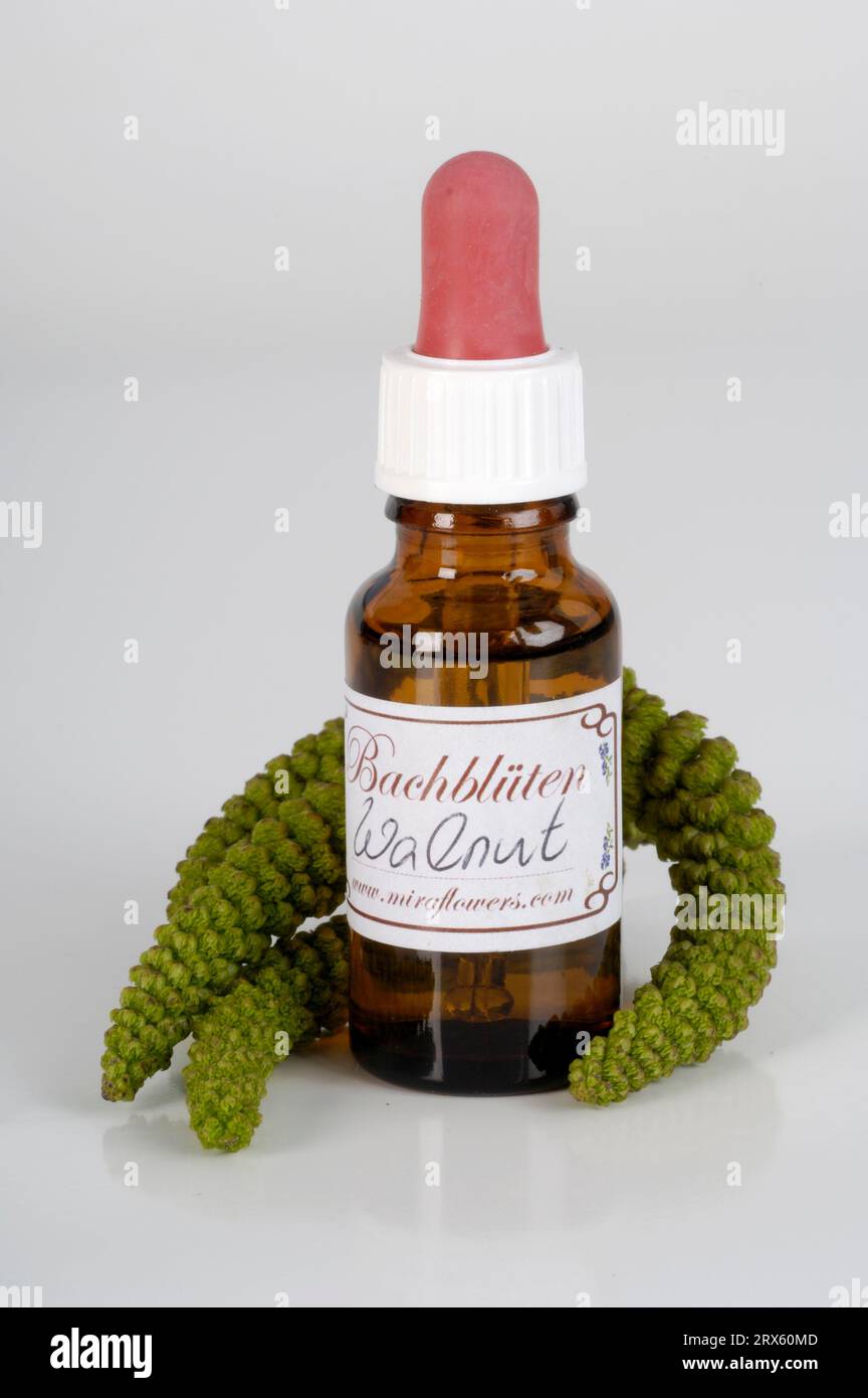 Bottle with Bach Flower Drops, Walnut (Juglans regia), Bach Flower ...